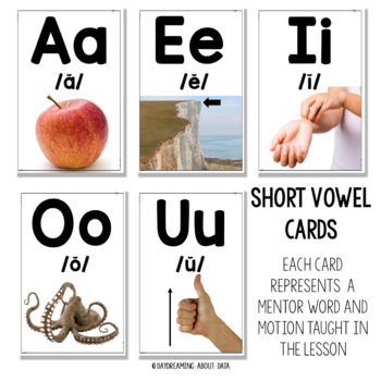 Short Vowel Lessons and Worksheets | Short A E I O U | Structured ...