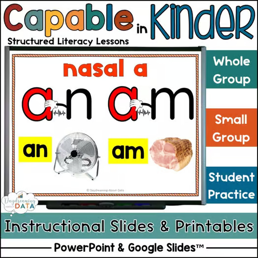 Nasal A AM AN Word Families: Structured Literacy Phonics for K-2